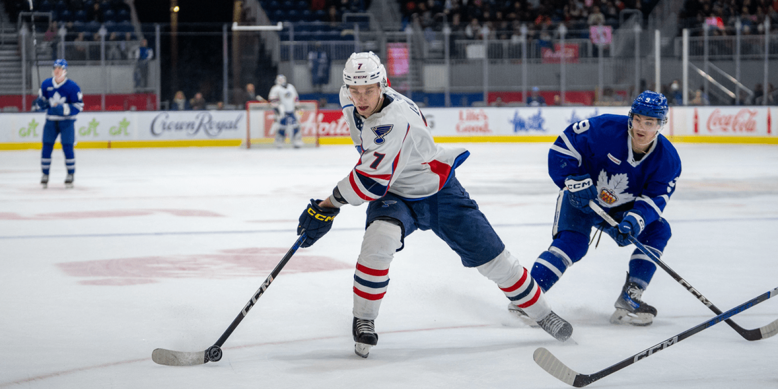 Springfield Thunderbirds | Leo Lööf