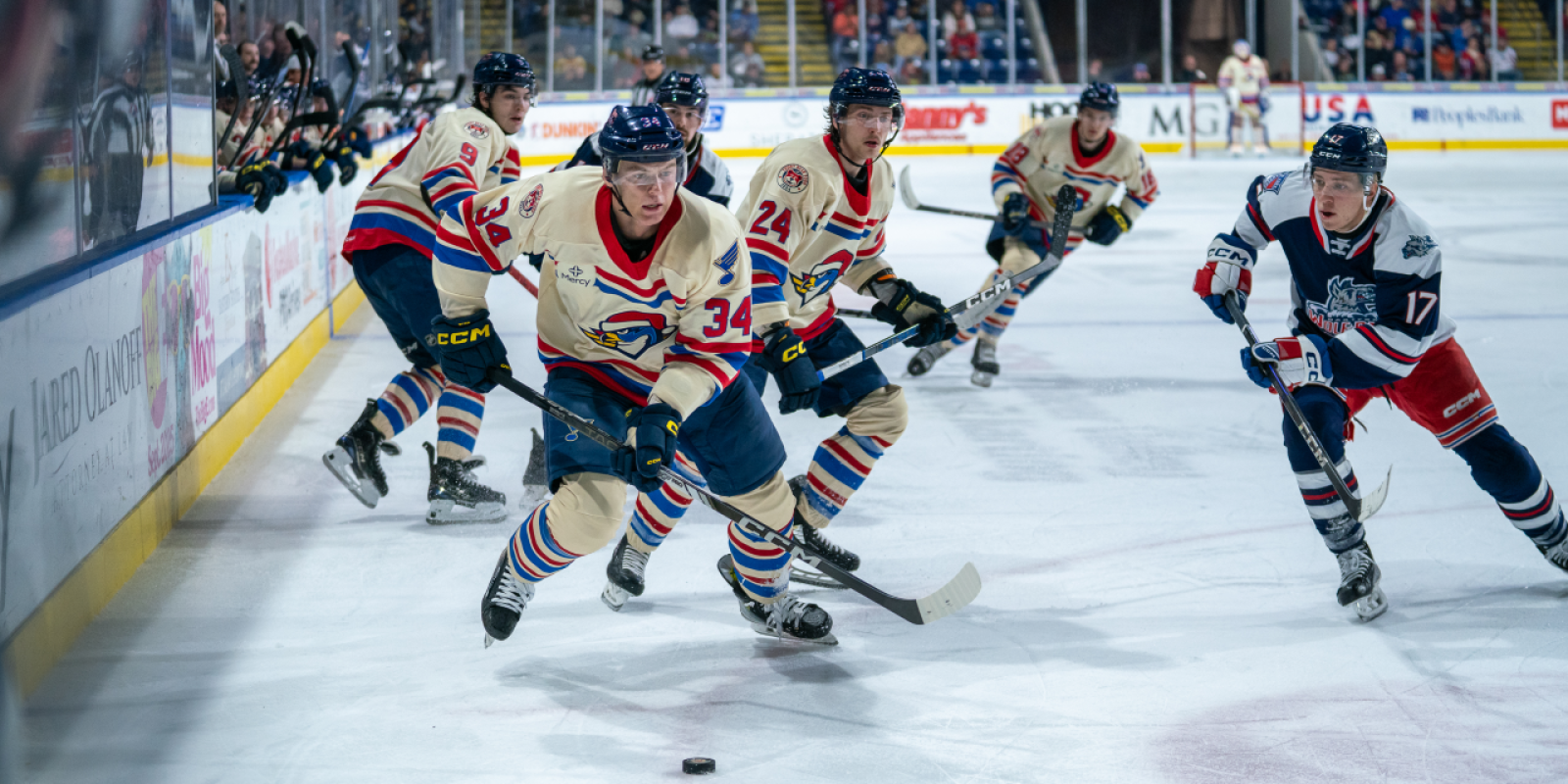 Springfield Thunderbirds | Bitten Sets Tone in T-Birds Triumph Over…