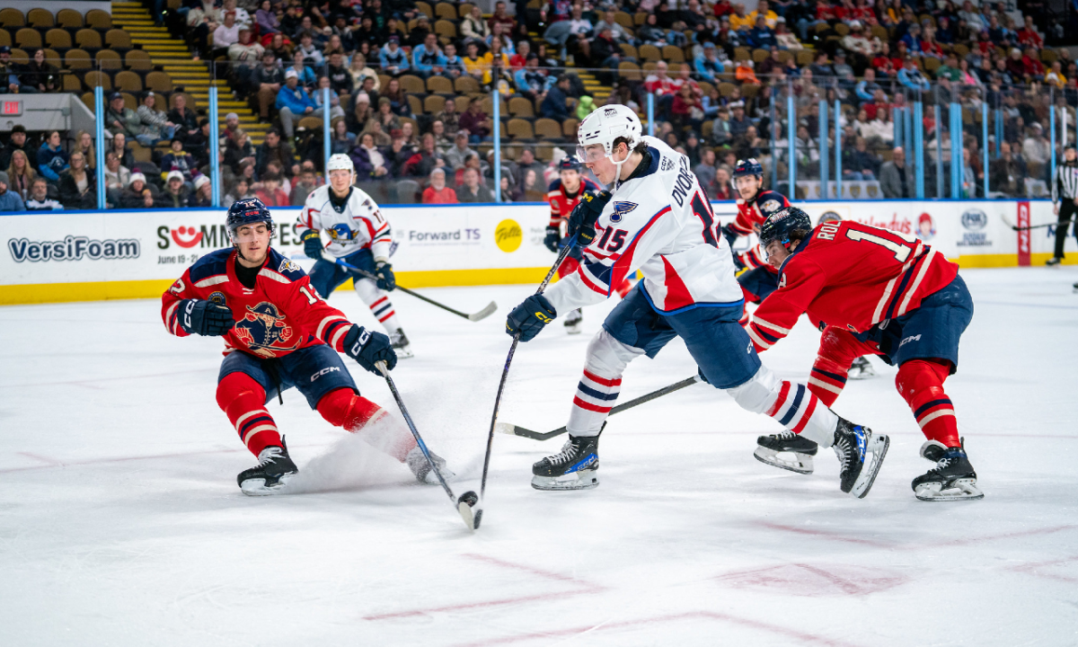 Springfield Thunderbirds | Dalibor Dvorský
