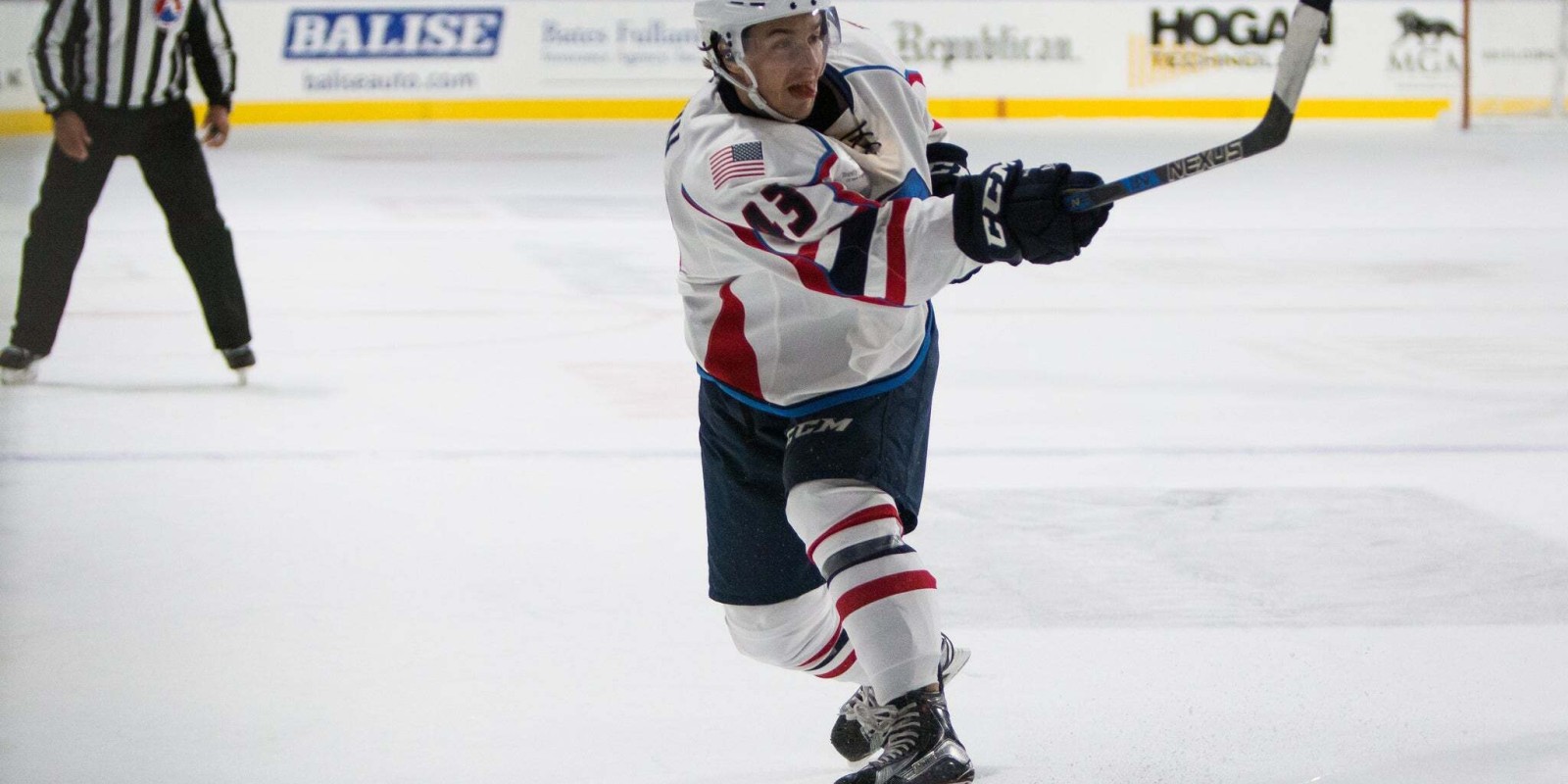 Springfield Thunderbirds | Panthers Recall F Malgin from T-Birds